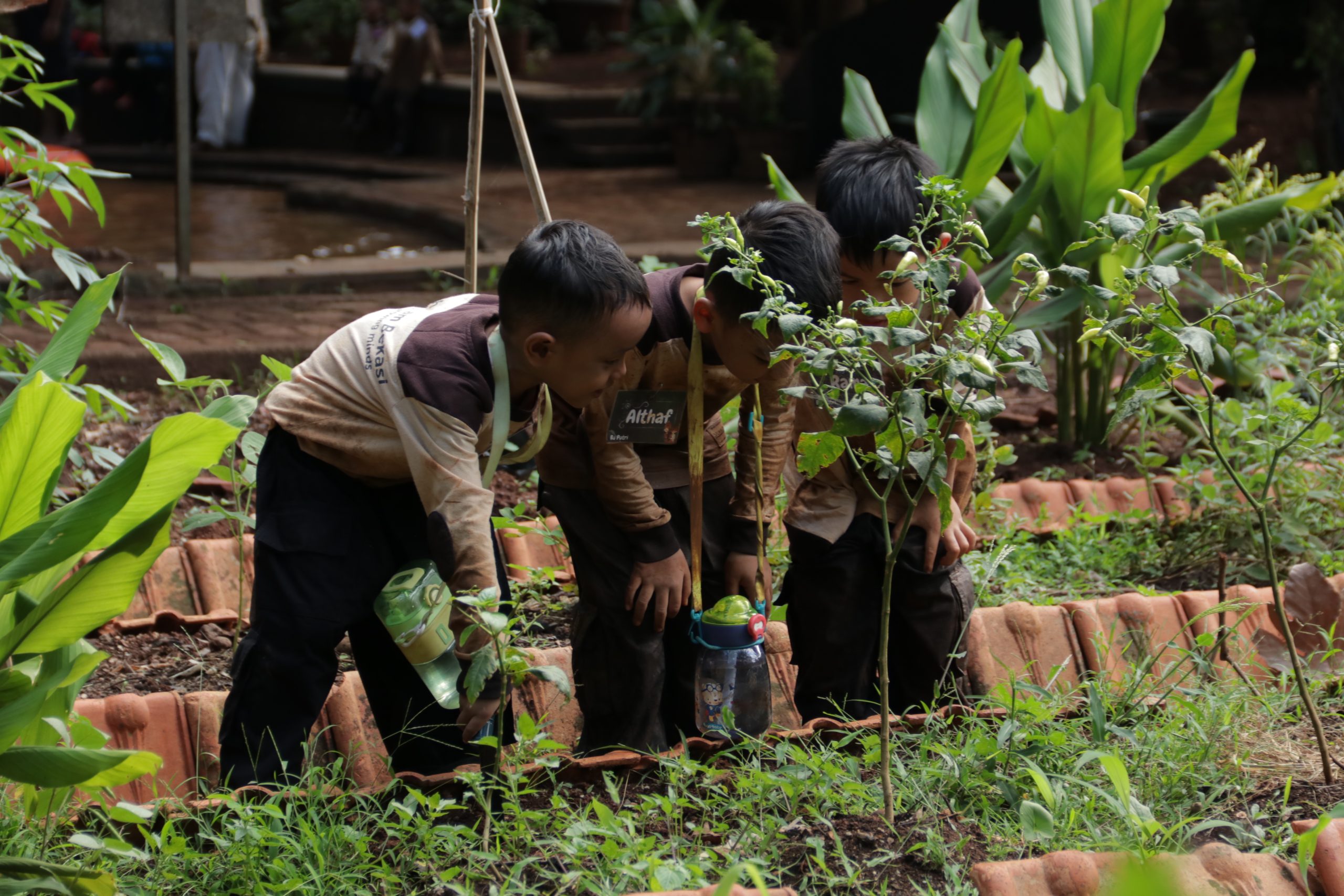 Kurikulum Taman: Semua Pelajaran Berbasis Berkebun dan Bertani - PN ...